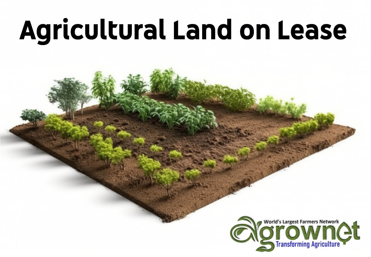 Agrownet™ access to modern farming techniques with World's Largest ...