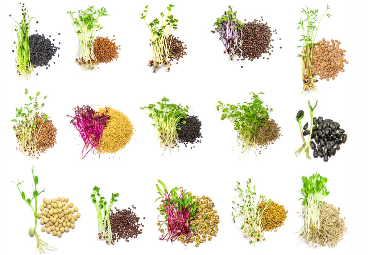 Agrownet™ access to modern farming techniques with World's Largest ...