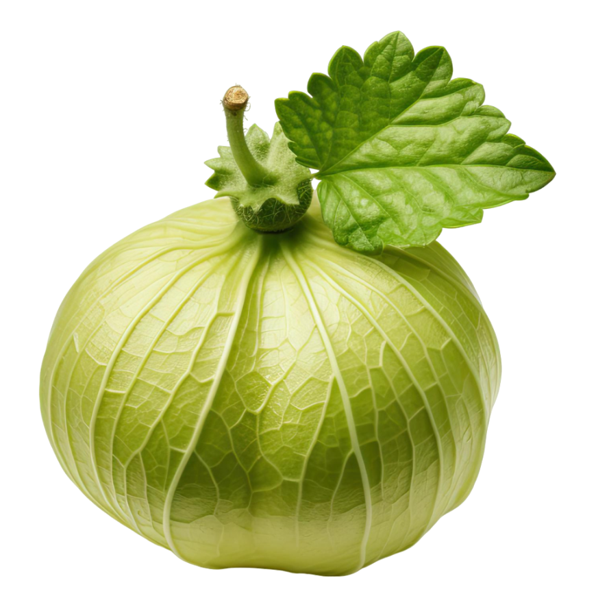 Tomatillo cultivation | Tomatillo crop management #Agrownet